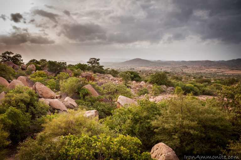 Unraveling Hampi - Daroji Sloth Bear Sanctuary - Go Road Trip